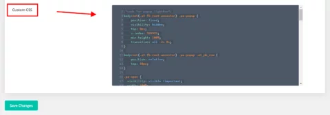 How To Fix The Expected RBRACE Or Unexpected Token CSS Issue In Divi - Tutorial by Pee-Aye Creative