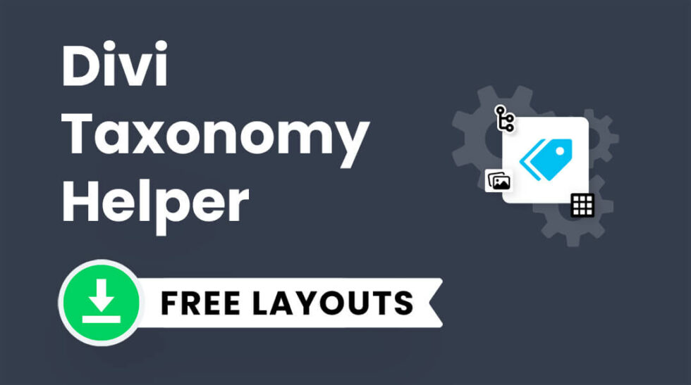 Display Divi Taxonomies And Categories With Images